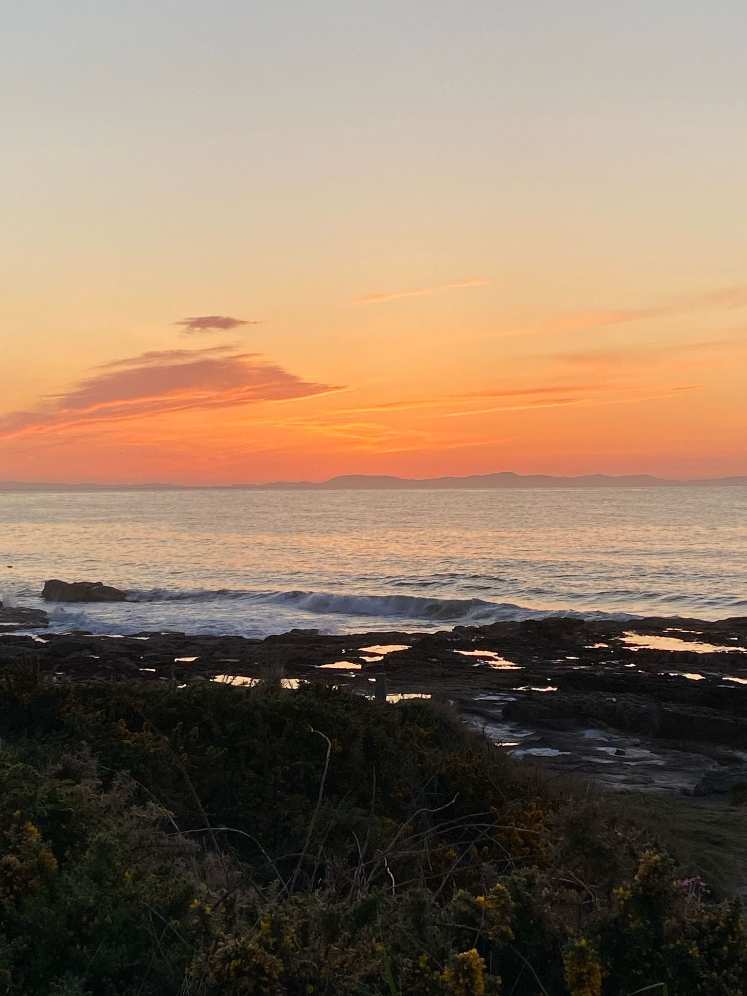 An Oceanic Feeling | World Ocean Day | Ava Innes
